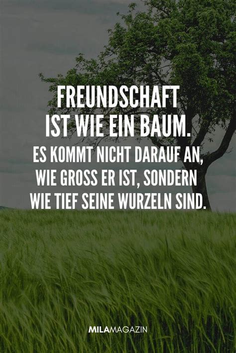 33 Sprüche Um Freunden Zu Zeigen Dass Sie Es Wert Sind Freunde Fürs Leben Sprüche Falsche