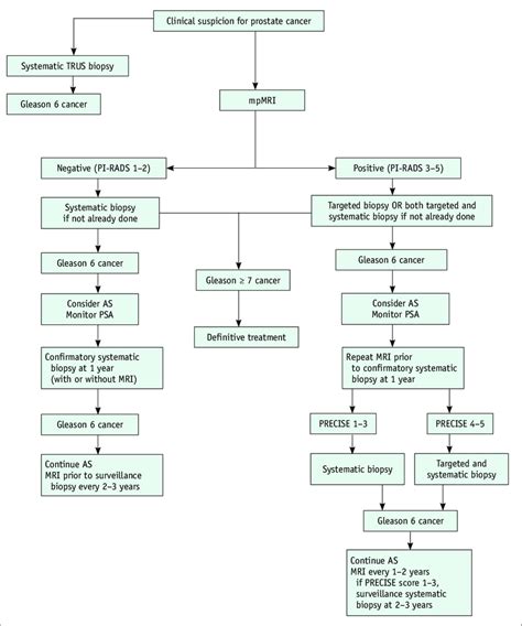 Proposed Pathways For Integrating Mpmri Into An As Protocol As Download Scientific Diagram