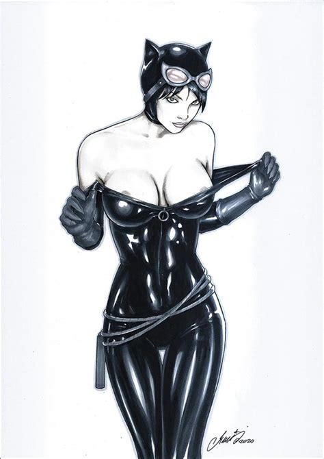 Introducir 61 Imagen Batman Catwoman Hot Abzlocalmx