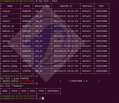 How To Install LXD On Ubuntu 22 04 LTS Using Apt Snap NixCraft