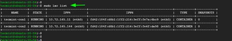 How To Install Create And Manage LXC In Ubuntu Debian