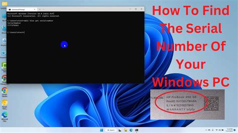 How To Find The Serial Number Of Your Windows PC YouTube