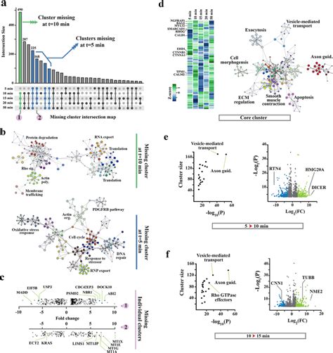 RNA Seq Analysis Of Transcriptional Remodelling Upon Neural