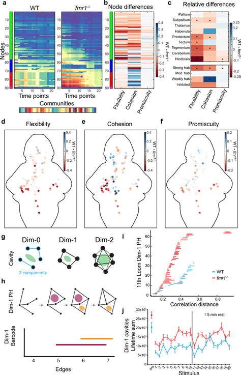 dynamic community detection and persistent homology across wt and download scientific diagram