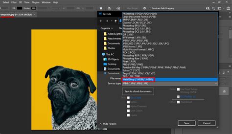 How Do I Convert A JPEG To WebP In Photoshop WebsiteBuilderInsider