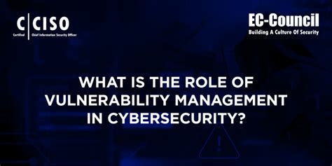 Effective Vulnerability Management Strategies Your Ultimate Guide
