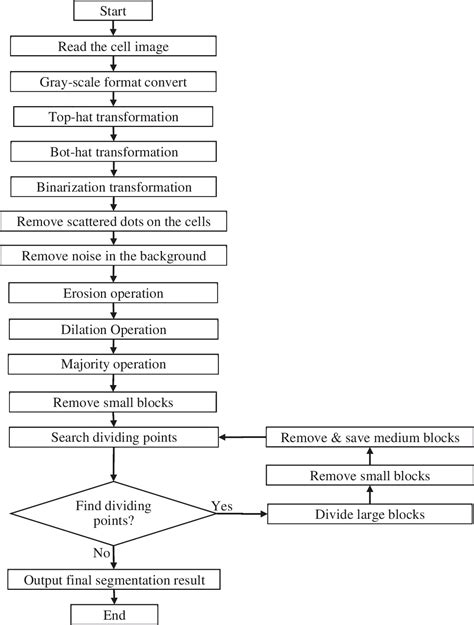 a morphological image segmentation algorithm for circular overlapping cells