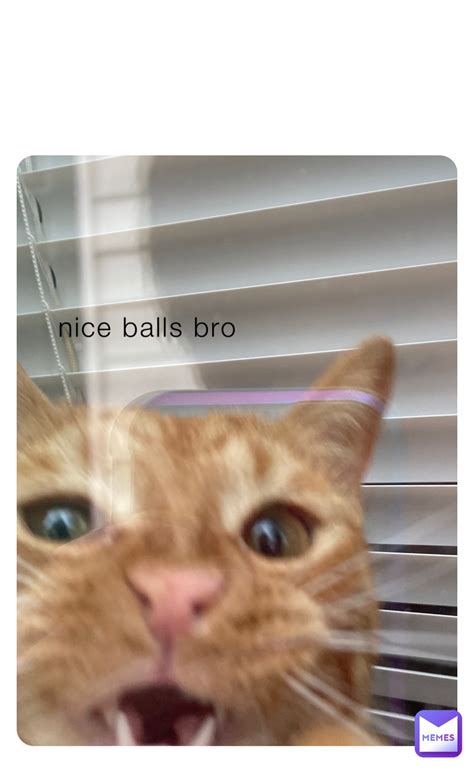 Nice Balls Bro Soaqked Memes