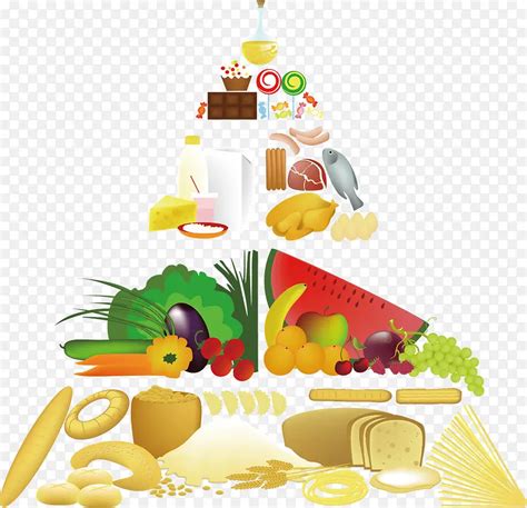 食物金字塔矢量素材PNG图片素材下载 图片编号yagxedjy 免抠素材网