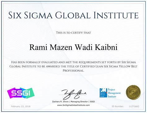 Lean Six Sigma Yellow Belt Professional LSSYB RMK Coaching