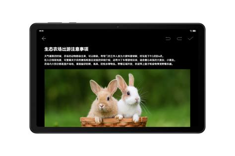 HUAWEI MatePad SE 10 4 英寸 华为官网