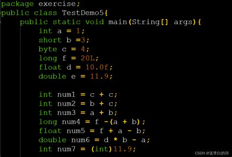 javase数据类型 csdn博客