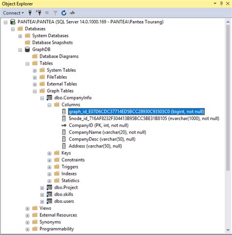 Sql Server The Meaning Of The Graphid Column In The Node Tables In Sqlserver 2017 Graph