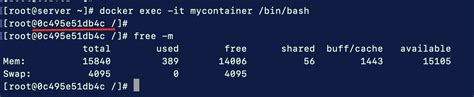 how to use docker exec to run commands in container
