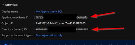query azure sql database with powershell and azure app registration techguy