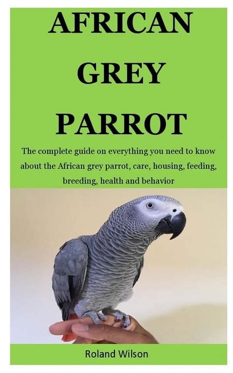 African Grey Parrot Breeding