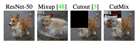 pytorch 图像分类与图像分割中使用 cutmix