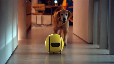 Samsung Reveals Ai Robot Ballie At Ces