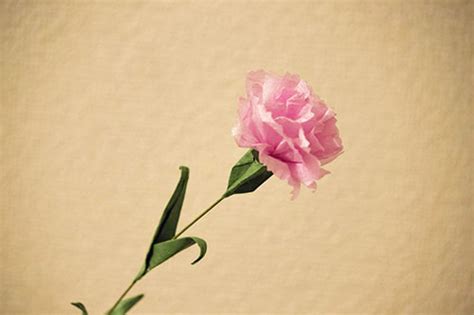 カーネーション 折り紙 立体 花束 Homu Interia