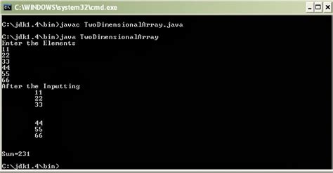two dimensional array in java