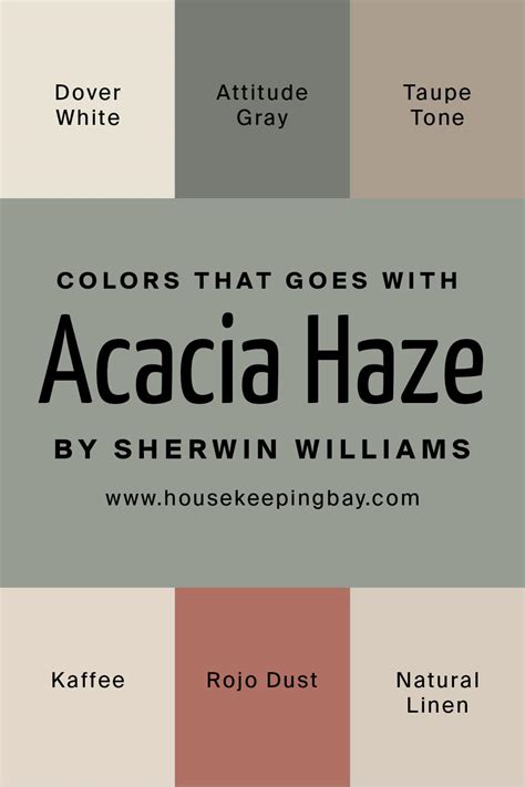 Acacia Haze SW 9132 By Sherwin Williams 2023