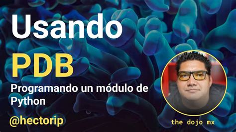 Usando PDB De Python Python Debugger YouTube