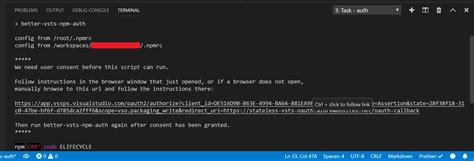 Auto Vsts Npm Auth Npm