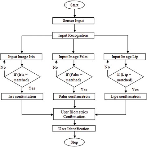 iasc free full text novel multimodal biometric feature extraction for precise human