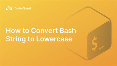 How To Convert Bash String To Lowercase