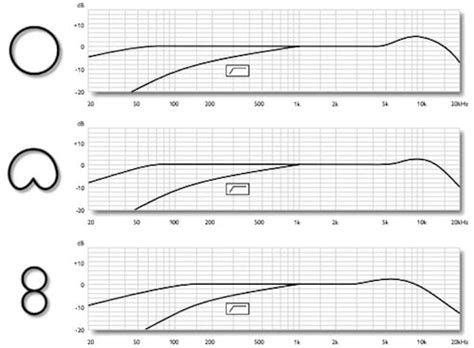 Complete Guide To Microphone Frequency Response With Mic Examples