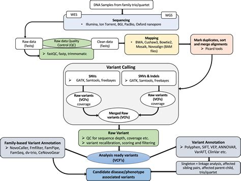 Frontiers Next Generation Sequencing And Bioinformatics Analysis Of