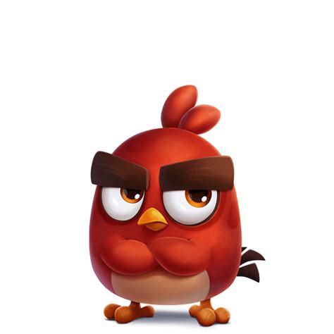Incredible Compilation Of Full 4k Angry Bird Images Over 999 Stunning Angry Bird Pictures