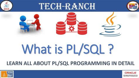 PL SQL Introduction PL SQL TechRanch YouTube