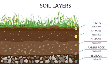 Soil Structure Layers Ground Cross Section Education Diagram Grass