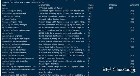 docker常用命令详解 知乎