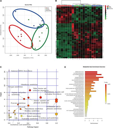 Frontiers Integration Of Metabolomics And Transcriptomics Reveals The