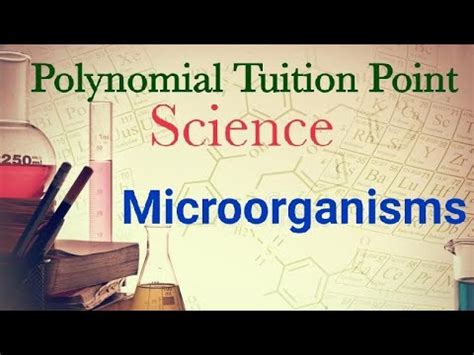 Microorganisms Basic Introduction YouTube
