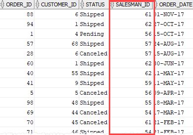 How To Check Null Value In Sql Table Brokeasshome
