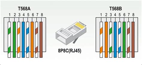 Cat 6 Rj45 Wiring