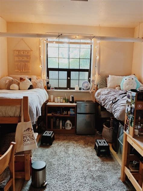 Cranival Of Craziness Dorm Room In 2023 College Dorm Room Decor Dorm Room Layouts Dorm Room