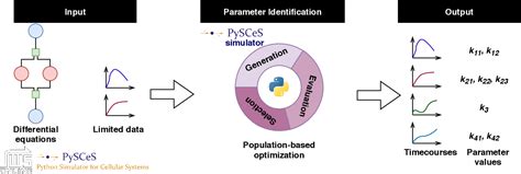 figure 1 from population based parameter identification for dynamical models of biological
