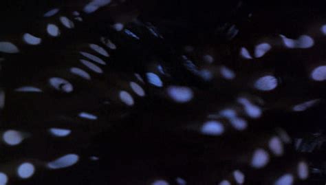 Naked Cindy Crawford In Fair Game