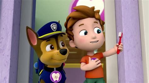 Chase The German Shepherd Paw Patrol Photo 40127512 Fanpop