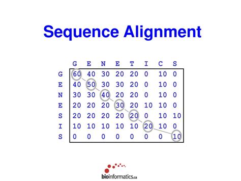 Ppt Sequencing Sequence Alignment Software Powerpoint Presentation