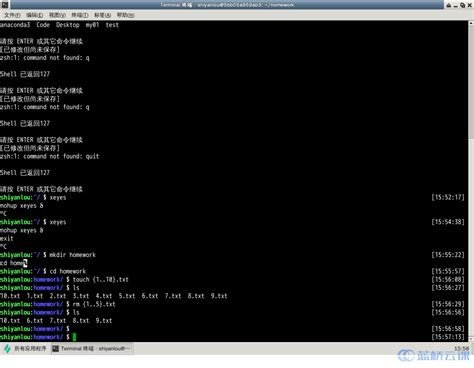 linux 目录结构及文件基本操作 蓝桥云课