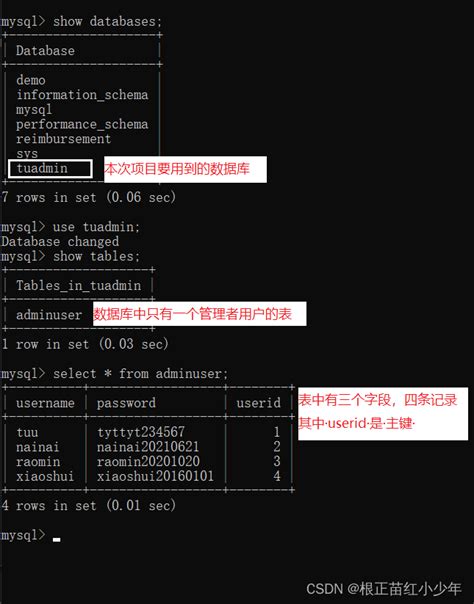 java后端 springboot项目连接mysql数据库 后端连接mysql数据库 根正苗红小少年的博客 csdn博客
