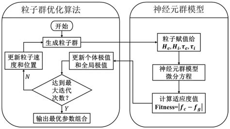 基于粒子群算法的神经元群模型参数自适应优化方法与流程