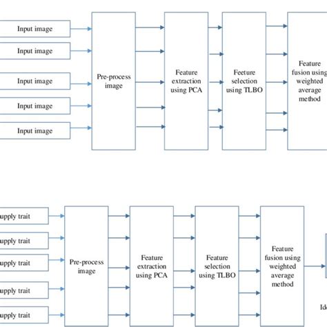 block diagram of multimodal biometric database system developed download scientific diagram