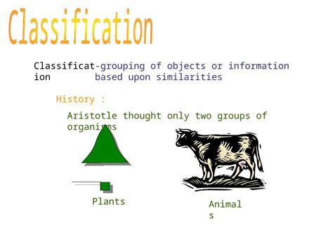 ppt classification grouping of objects or information based upon similarities history