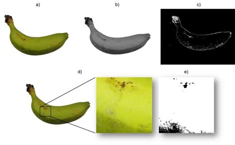 digital image processing to image segmentation and determine l a b download scientific diagram